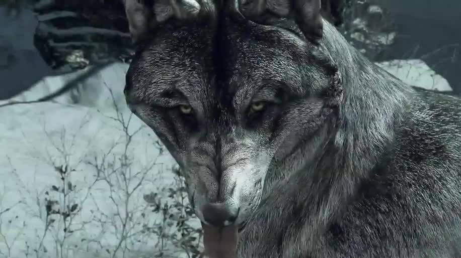 Call of Duty: Ghosts - Wolf-DLC veröffentlicht