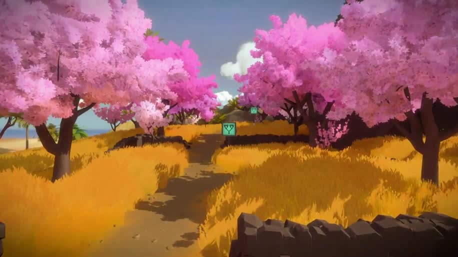 The Witness (PS4)